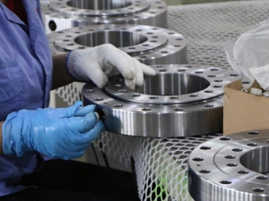Slewing bearing assembly | LDB