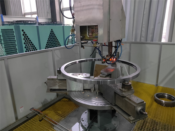 Slewing bearing assembly | LDB